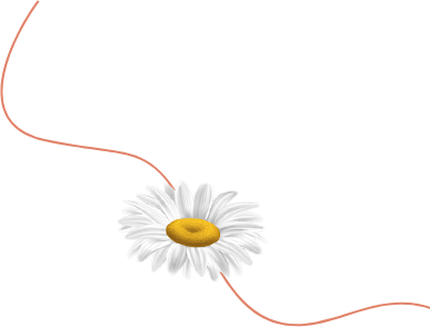 FAQs - corporate-calm.co.uk